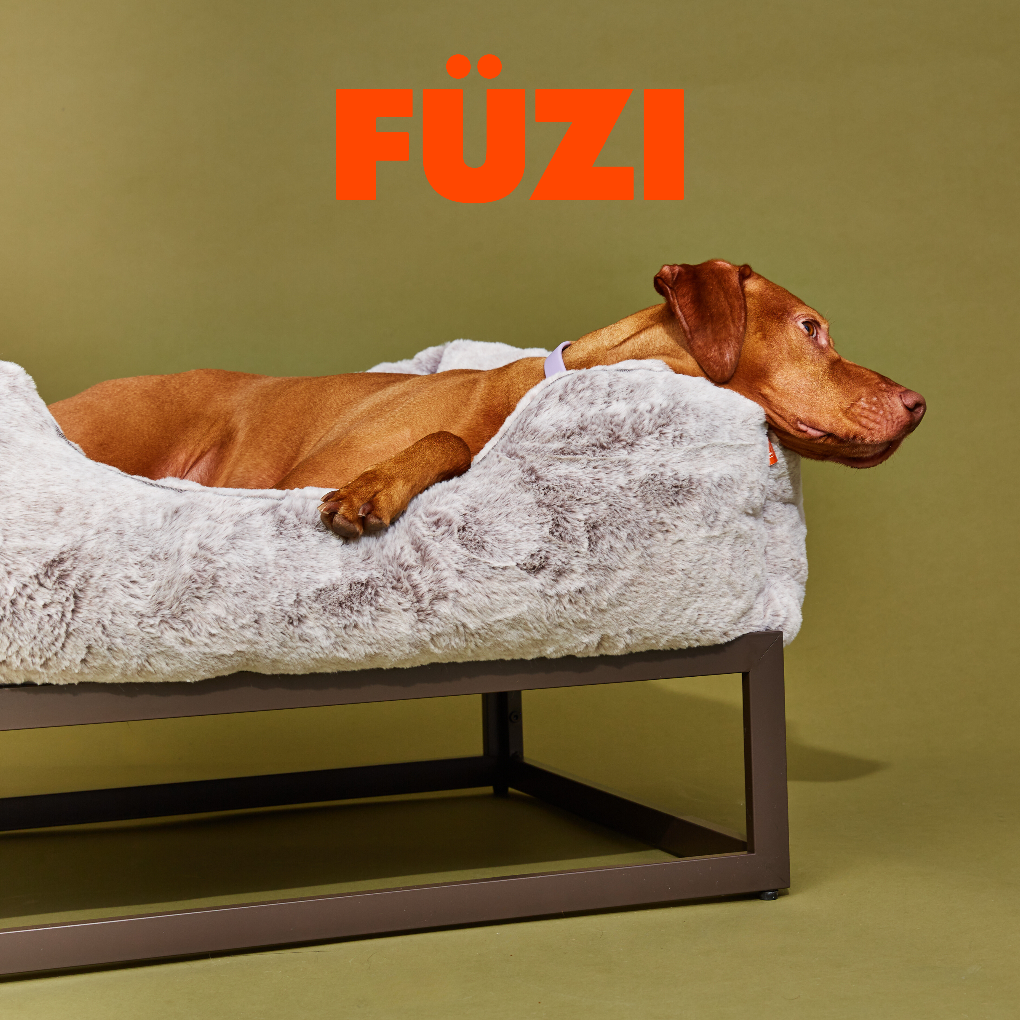 FÜZI Pets Elevated Dog Beds: Comfort and Convenience for Your Pet